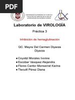 Flexiplen-B12 Prospecto | PDF | Medicamentos con receta | Droga anti ...