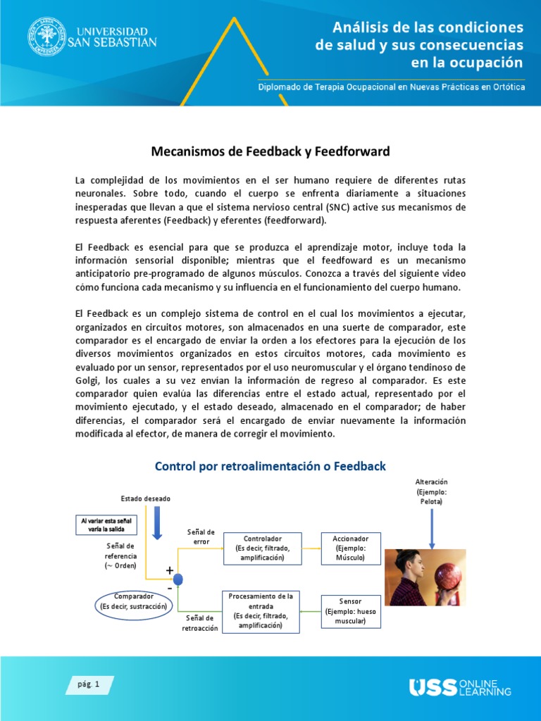 Contenido4 - Mecanismos de Feedback y Feedforward | PDF