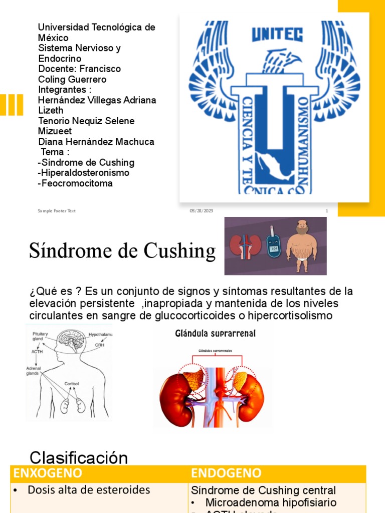 Sindrome de Cushing | PDF | Hormona adrenocorticotrópica | Glándula ...