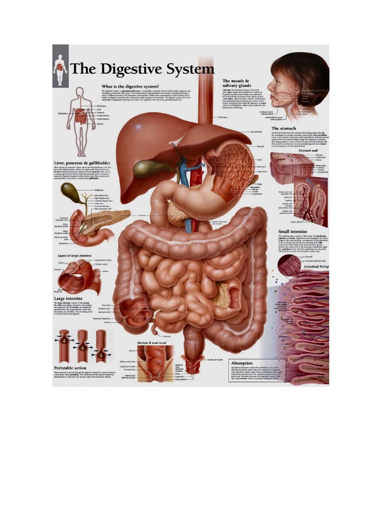 Example of Poster | PDF