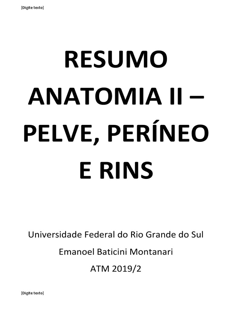 Resumo - Pelve, Períneo e Rins - 230403 - 165531 | PDF | Pélvis | Rim