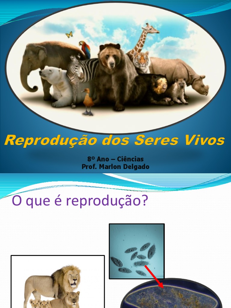 Aula 1 - Reprodução Dos Seres Vivos - 8º Ano | PDF