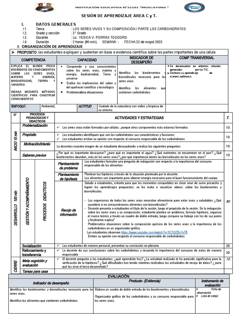 SESION N°01 Los Carbohidratos | PDF | Carbohidratos | Aprendizaje