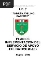 Plan Del Saei - 2025 | PDF | Inclusión (Educación) | Educación primaria