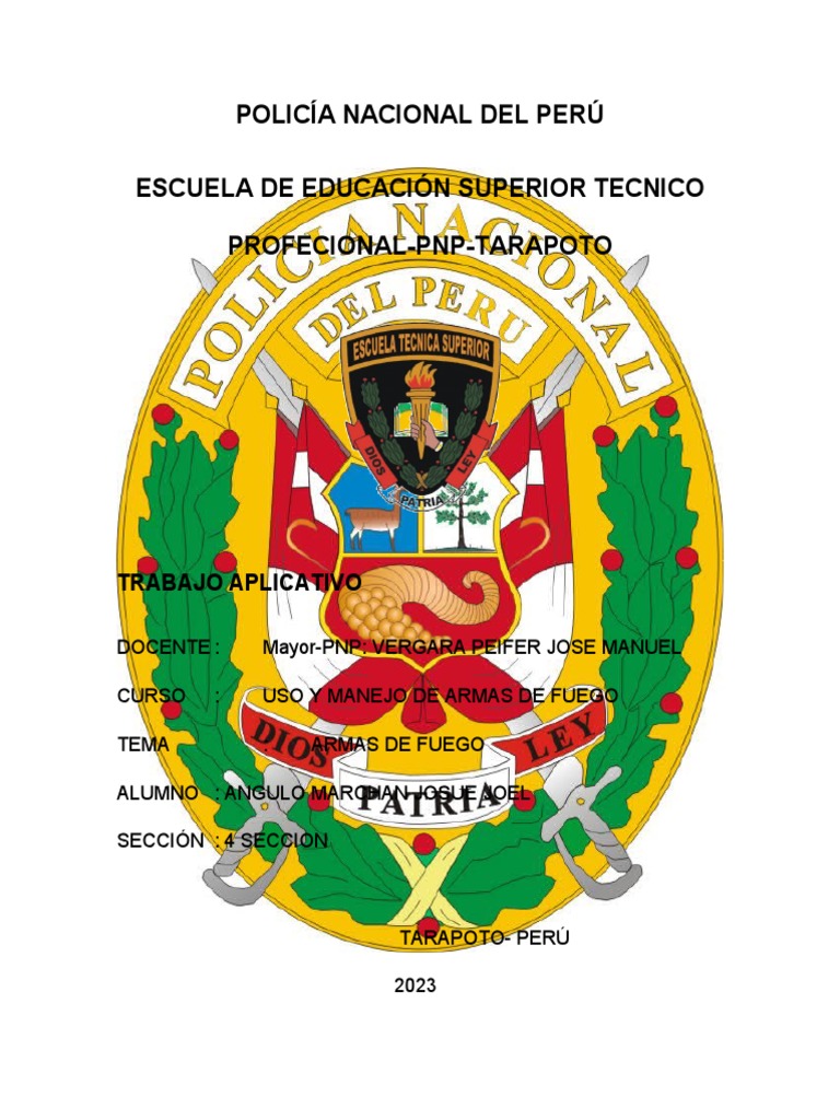 Uso y Manejo de Armas de Fuego PNP | PDF | Revólver | Armas de fuego