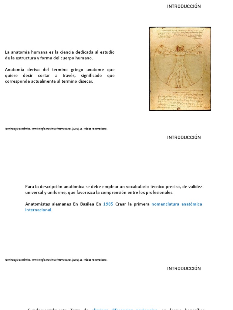 Terminologia Basica Anatomia | PDF | Anatomía | Términos anatómicos de ...
