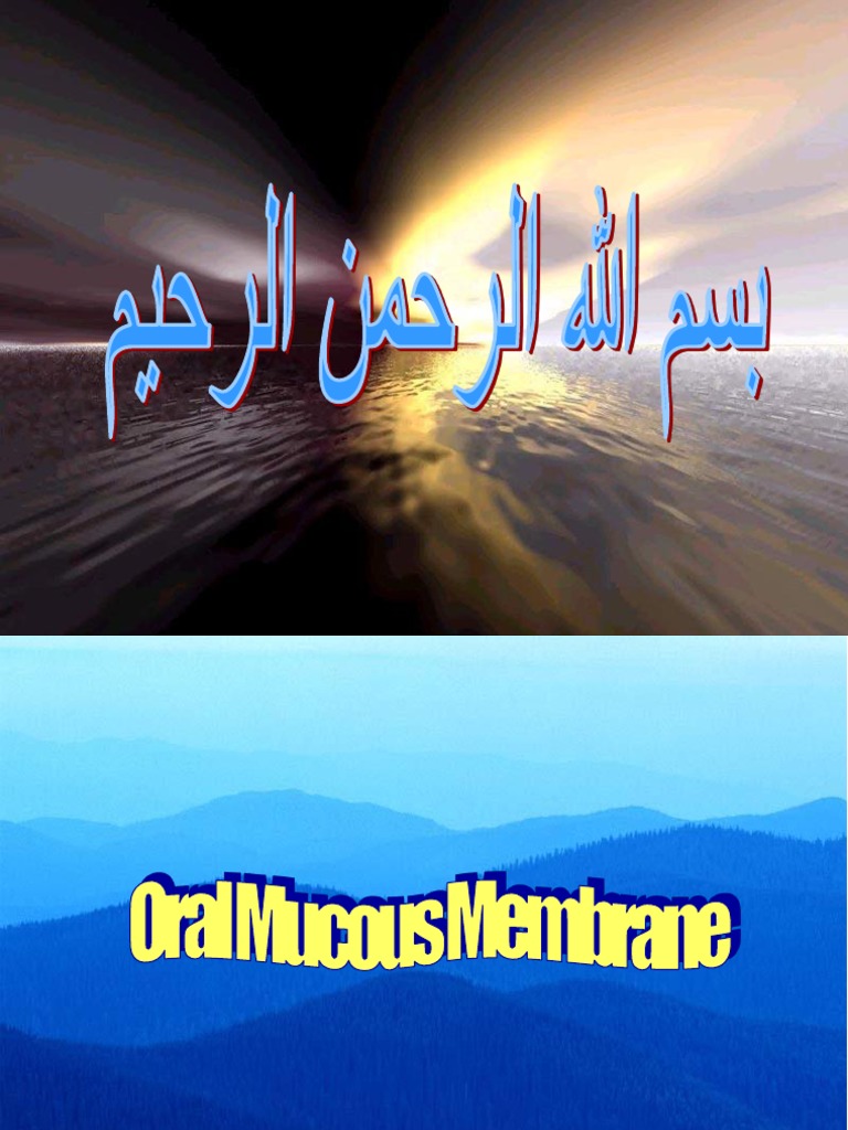 11 Oral Mucous Membrane | PDF | Epithelium | Animal Anatomy