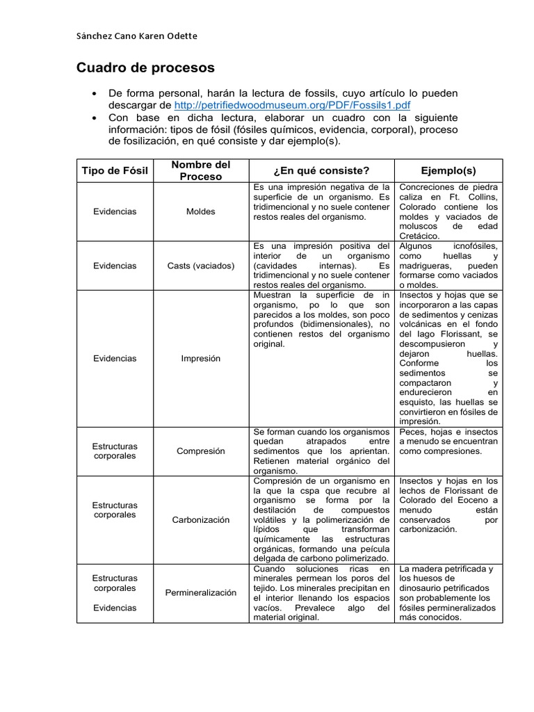Cuadro de Procesos | PDF | Fósil | Minerales