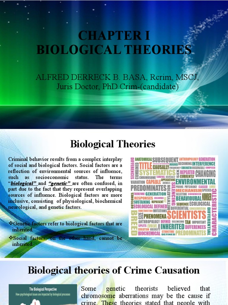 Chapter 1 .Theories and Causes of Crimes | PDF