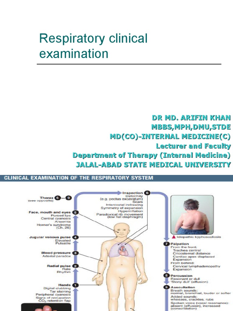 Chest Examination | Download Free PDF | Lung | Thorax
