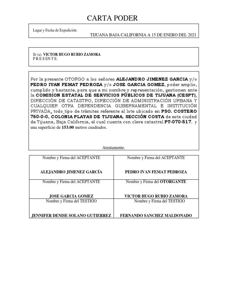 Carta Poder PDF 2 | PDF