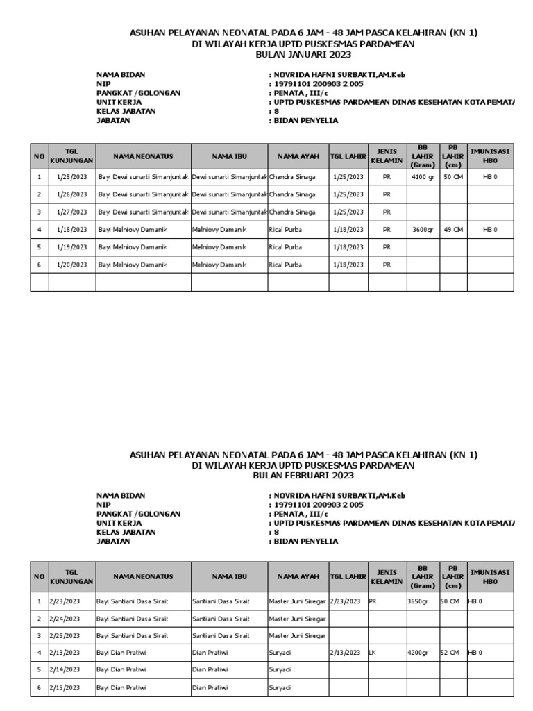 Dokumen SKP Asuhan Pelayanan Neonatal (KN-1) | PDF