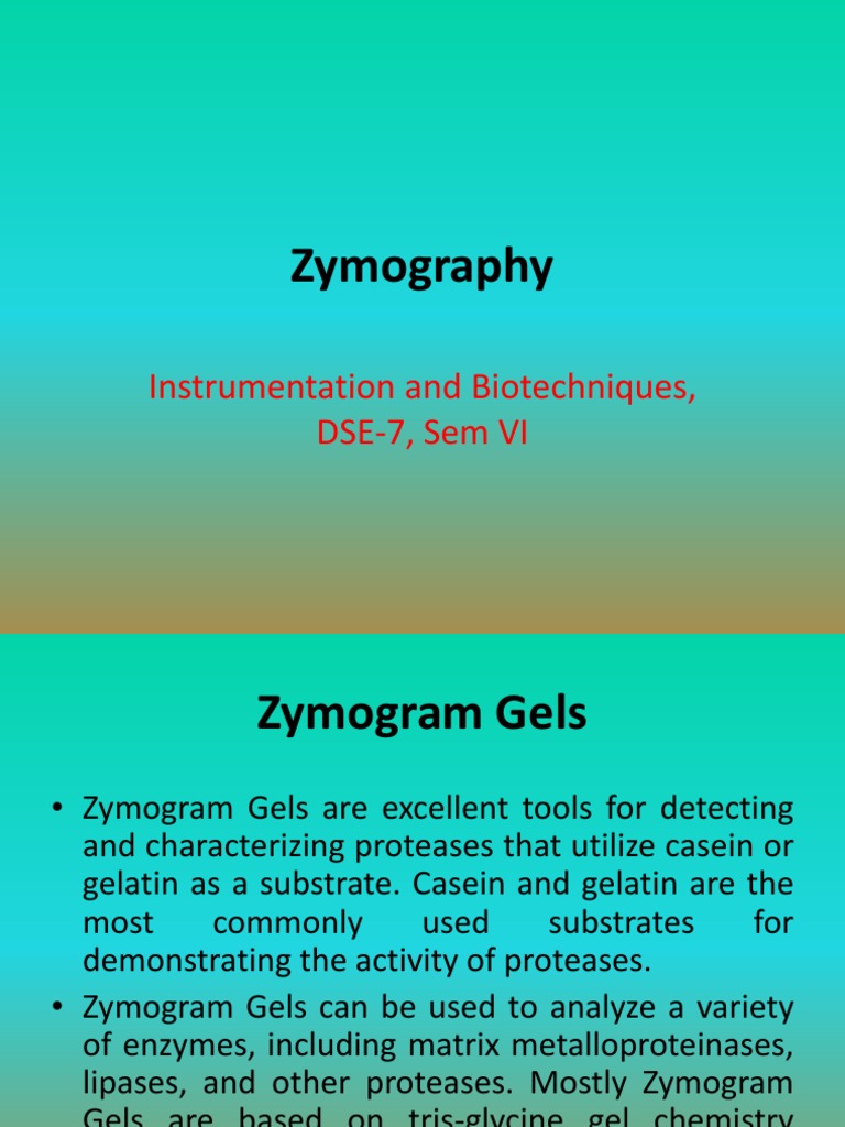 Zymogram | PDF | Gel Electrophoresis | Molecular Biology