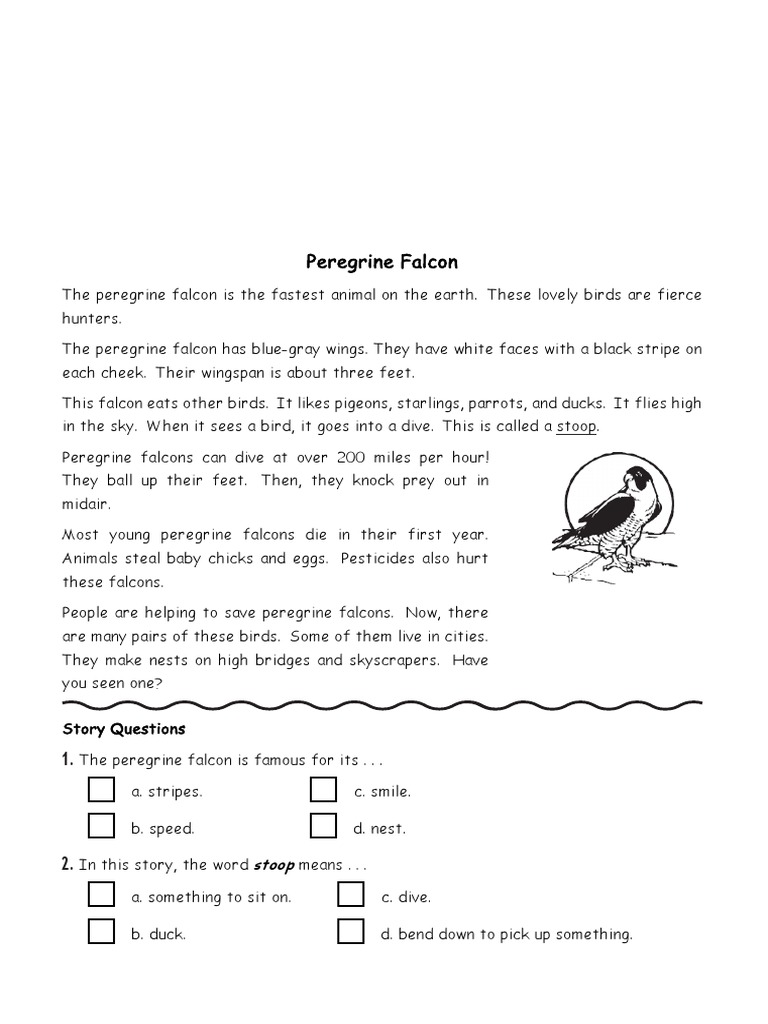 1.10 - Peregrine Falcon | PDF | Home & Garden | Science & Mathematics