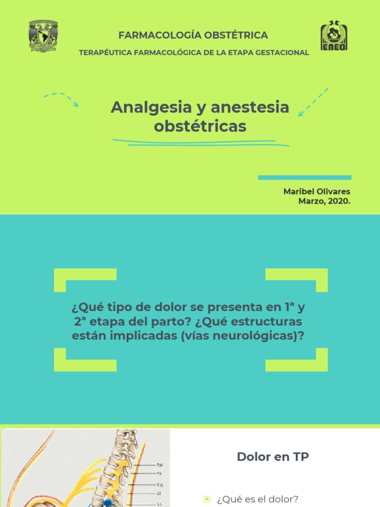 Analgesia y Anestesia, Diapositivas | PDF | Anestesia | Parto