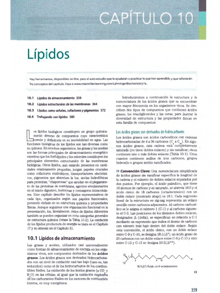 Lab 5 Bioca | PDF