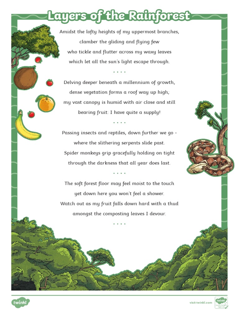 Layers of the Rainforest Poem | PDF