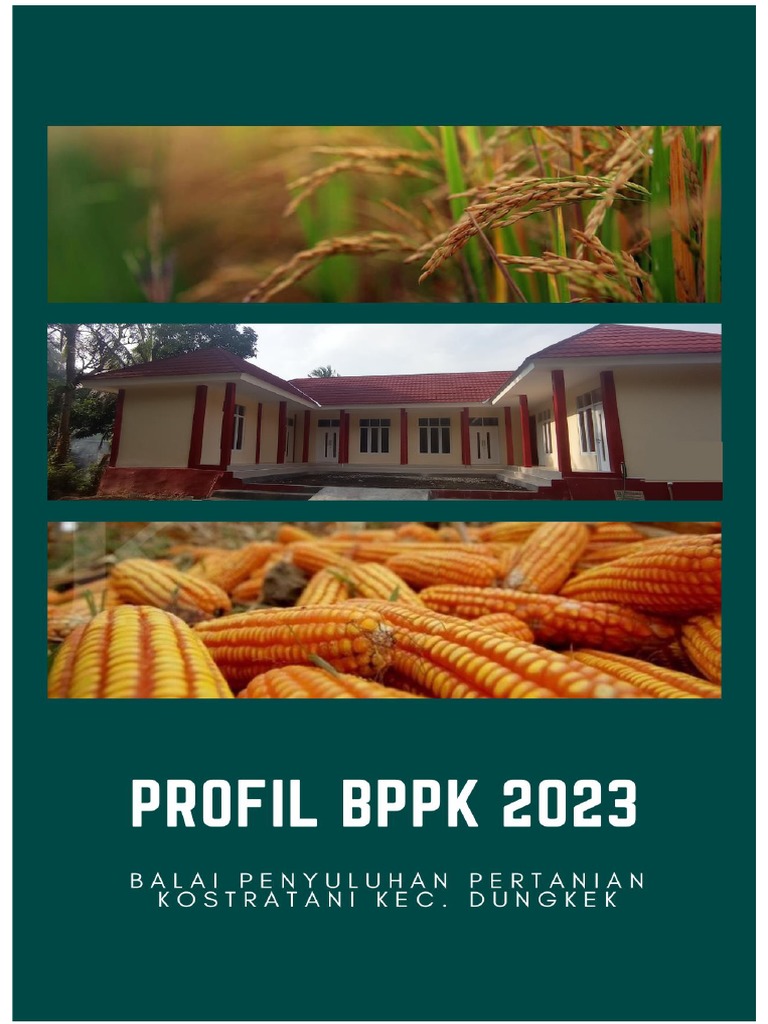 Profil BPP | PDF