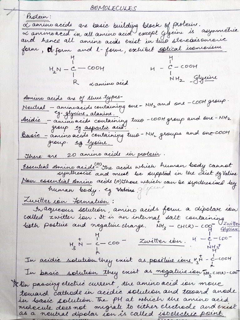Biomolecules Notes | PDF