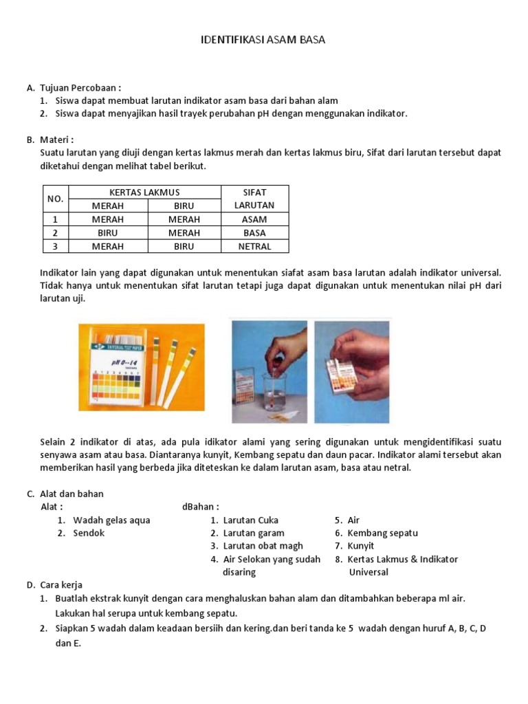 Identifikasi Asam Basa | PDF