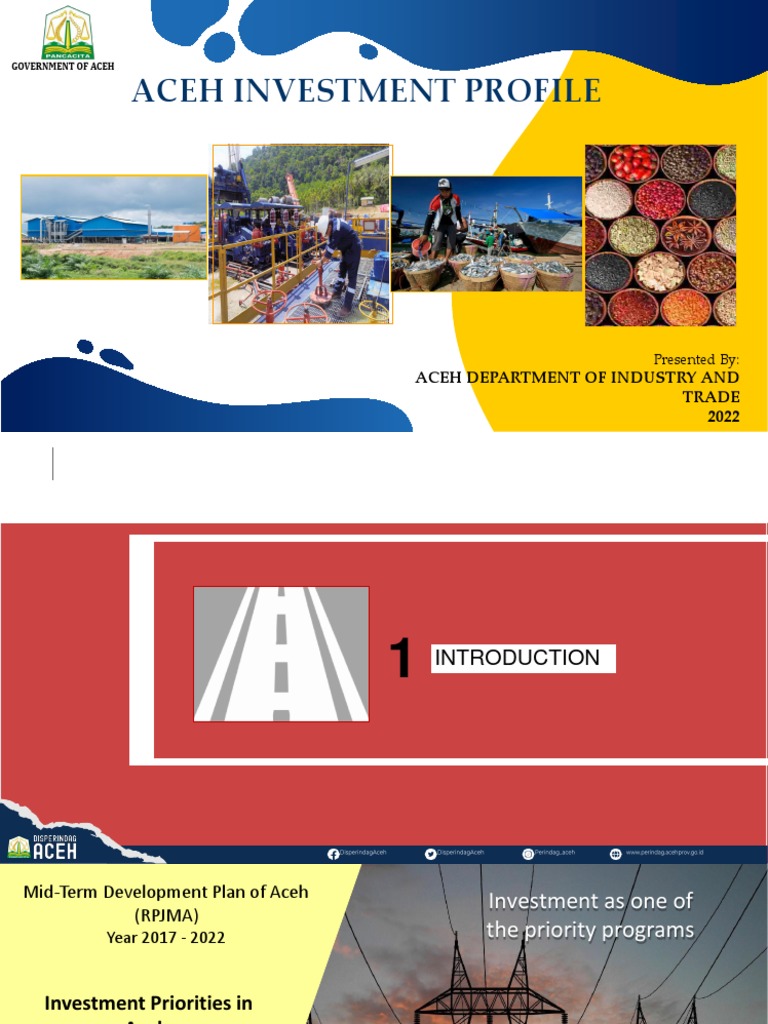 Zarman Syah - Potensi Ekonomi Aceh 2022 | PDF
