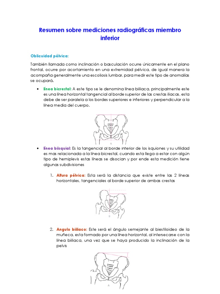 Resumen | PDF | Pelvis | Sistema musculoesquelético