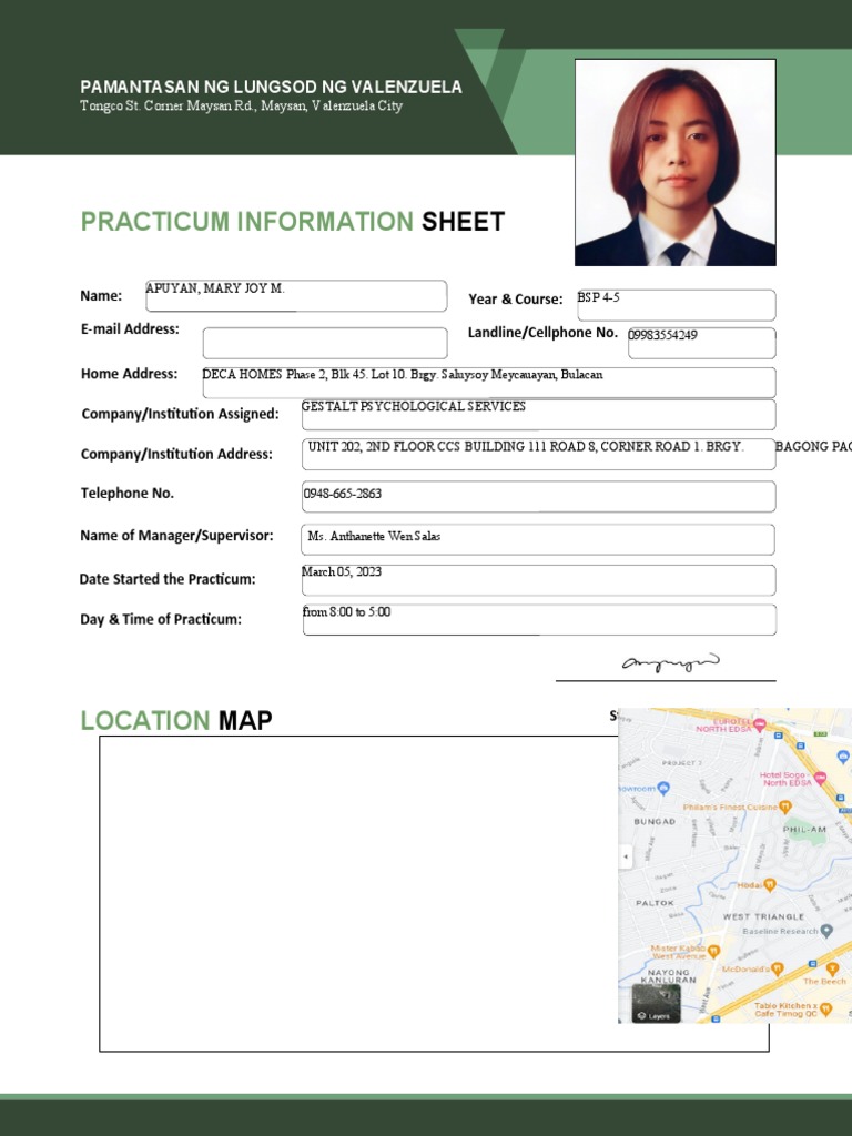 Edited Practicum Sheet | PDF