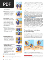 ProTox-3.0 - Prediction of TOXicity of Chemicals | PDF | Receptor ...