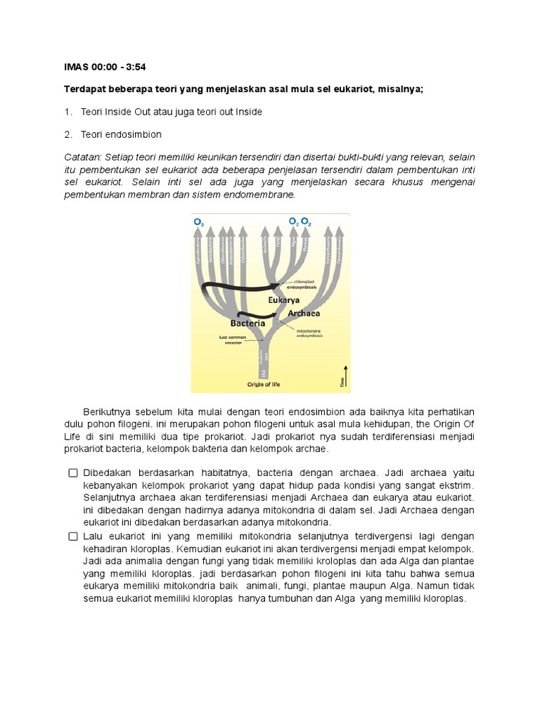 Teori Endosimbiosis Sel Eukariot | PDF