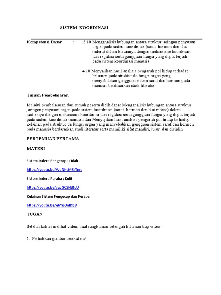 LKPD Indera Lidah Dan Kulit | PDF