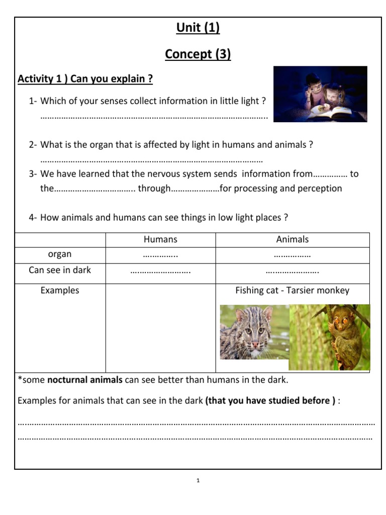 Concept 3 Activity 1 To 7 | PDF | Eye | Senses