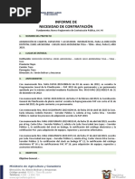 1 - Modelo Informe de Necesidad 2022 | PDF | Derecho