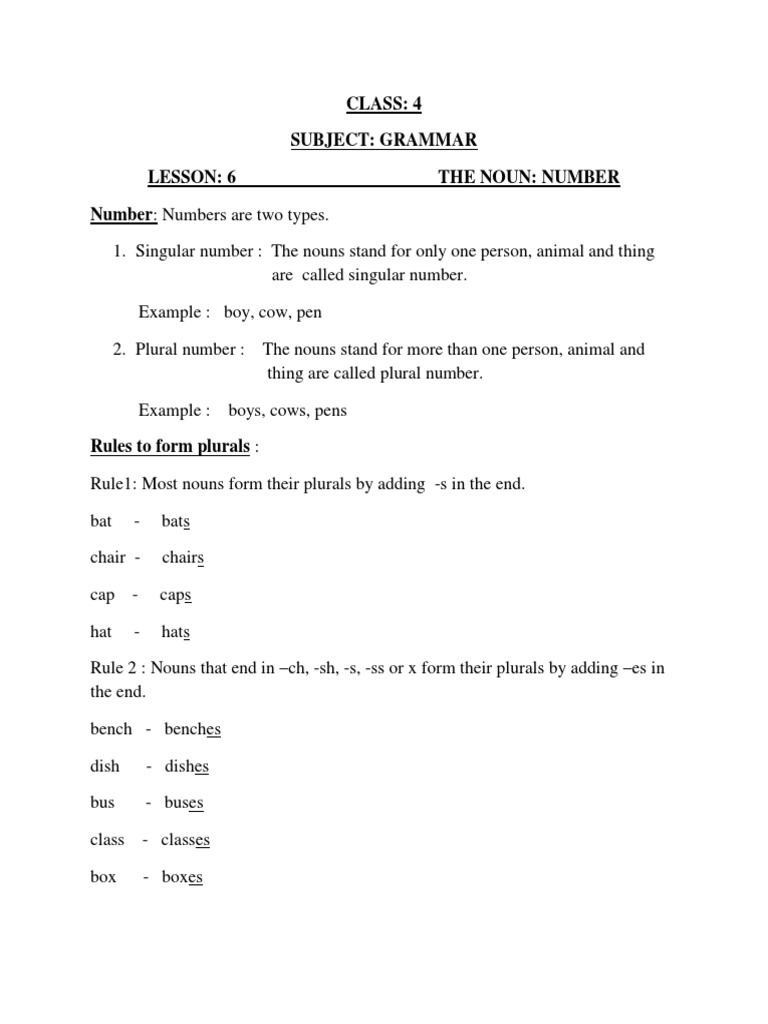 Class 4 Eng Grammar Lesson 6 The Noun Number | PDF | Plural ...