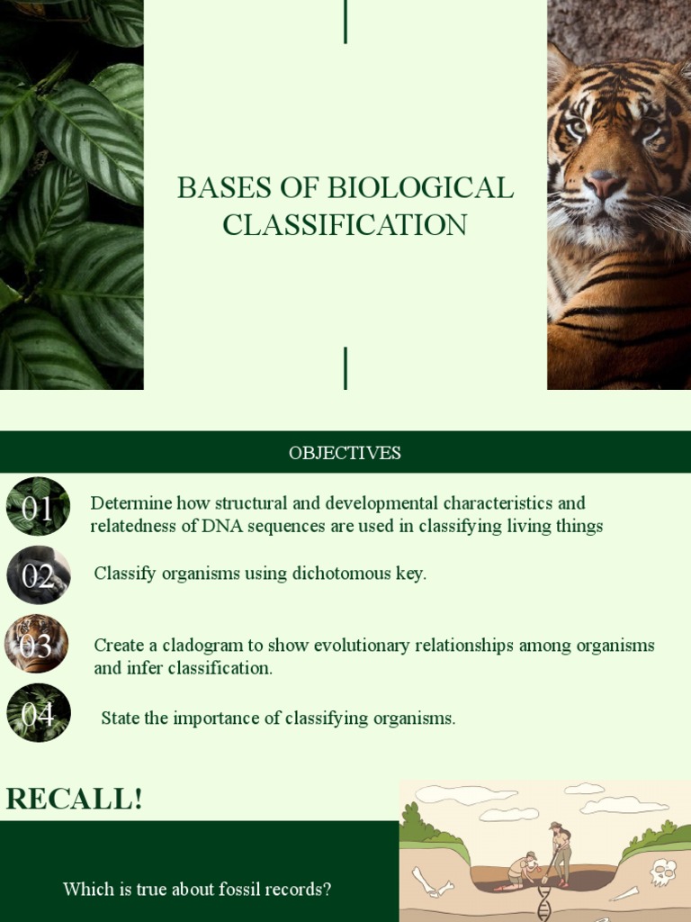 Cladograms and Biological Classification | PDF | Phylogenetics | Organisms