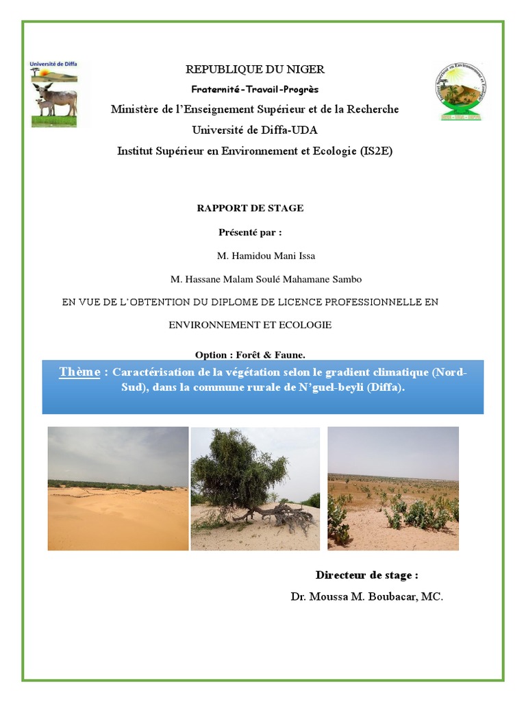 Mémoire de Licence Hamidou Issa & Hassan S. Sambo | PDF