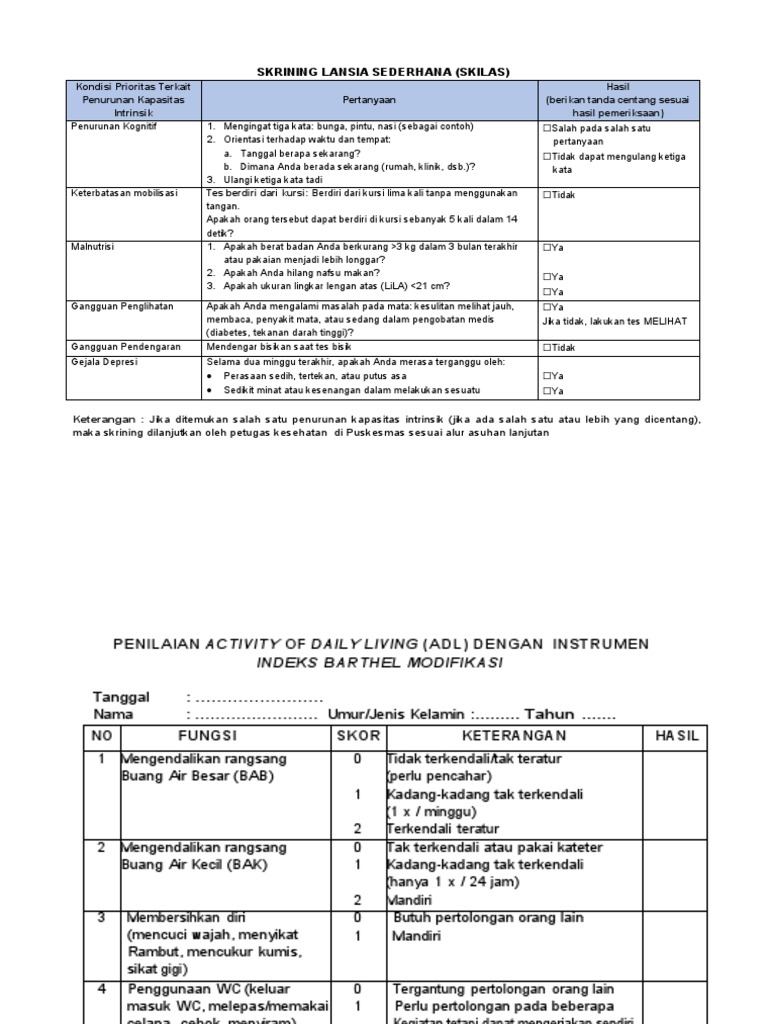 Instrumen SKILAS DAN ADL | PDF