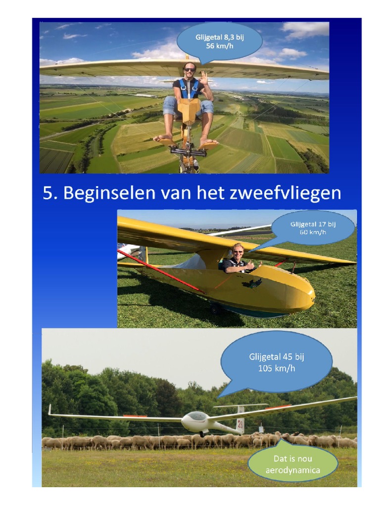 5 Beginselen | PDF