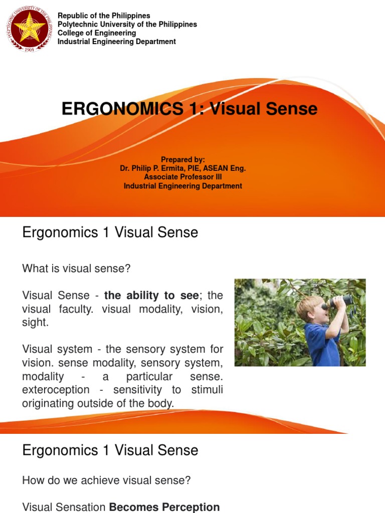 Ergonomic 1 Lecture Visual Sense | PDF