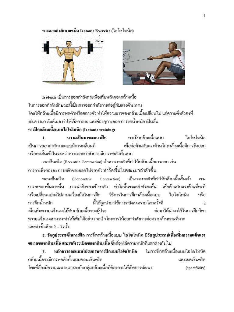 Isotonic Exercise 5 | PDF