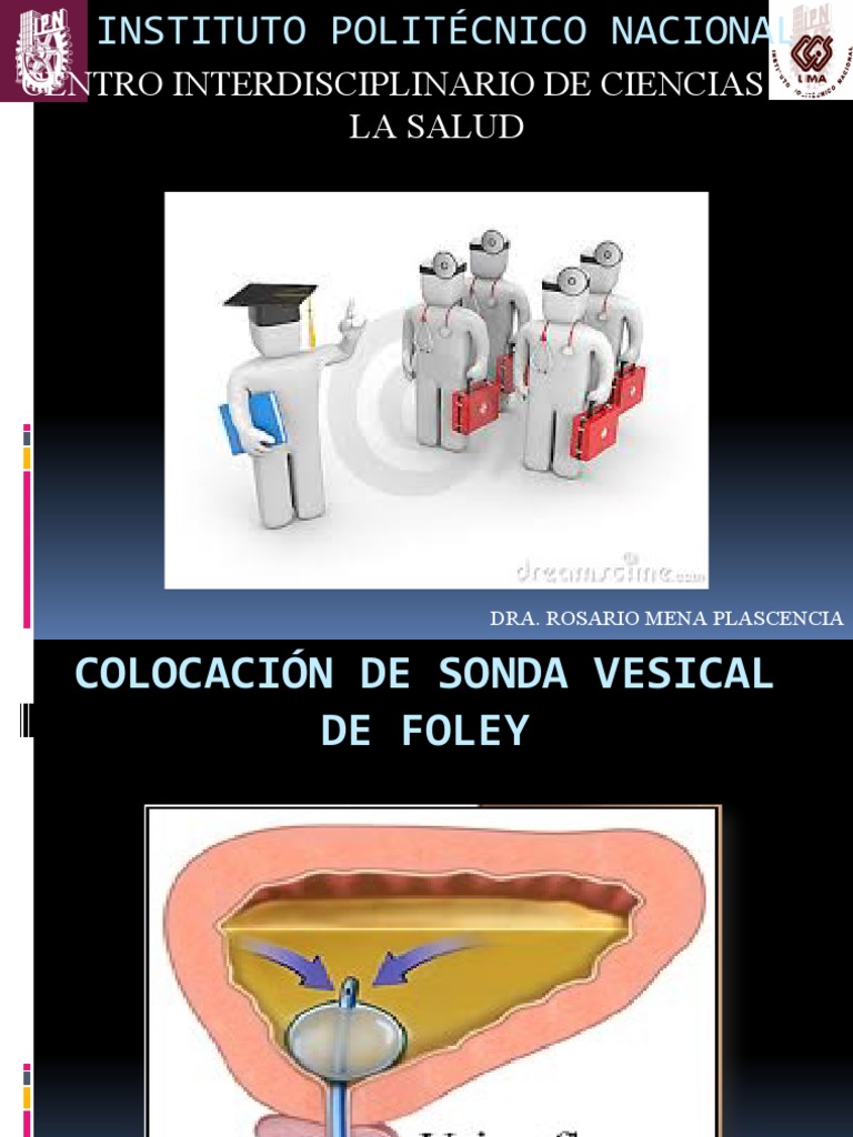 Guía de Colocación de Sonda Foley | PDF | Vejiga urinaria ...