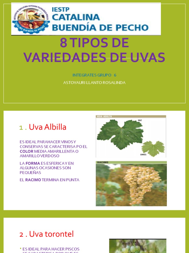 8 Tipos de Variedades de Uva | PDF