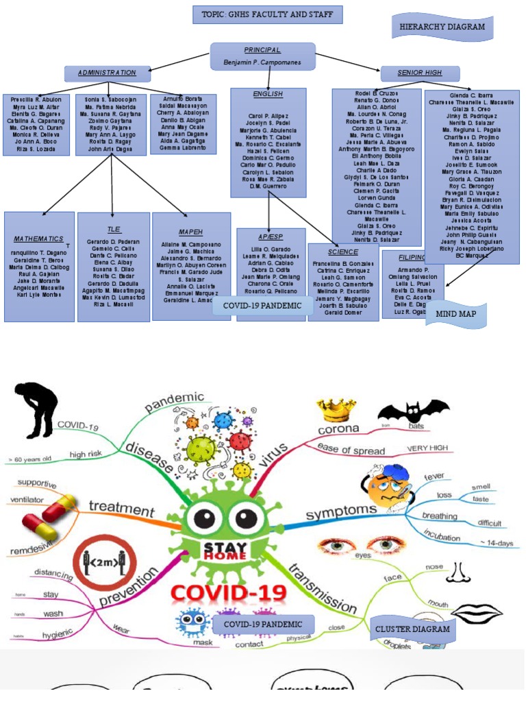 English Maps | PDF | Reading Comprehension | Neuroscience