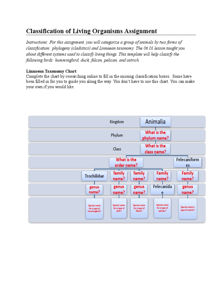 06 01 Classification Assignment Template | PDF | Taxonomy (Biology) | Reptile