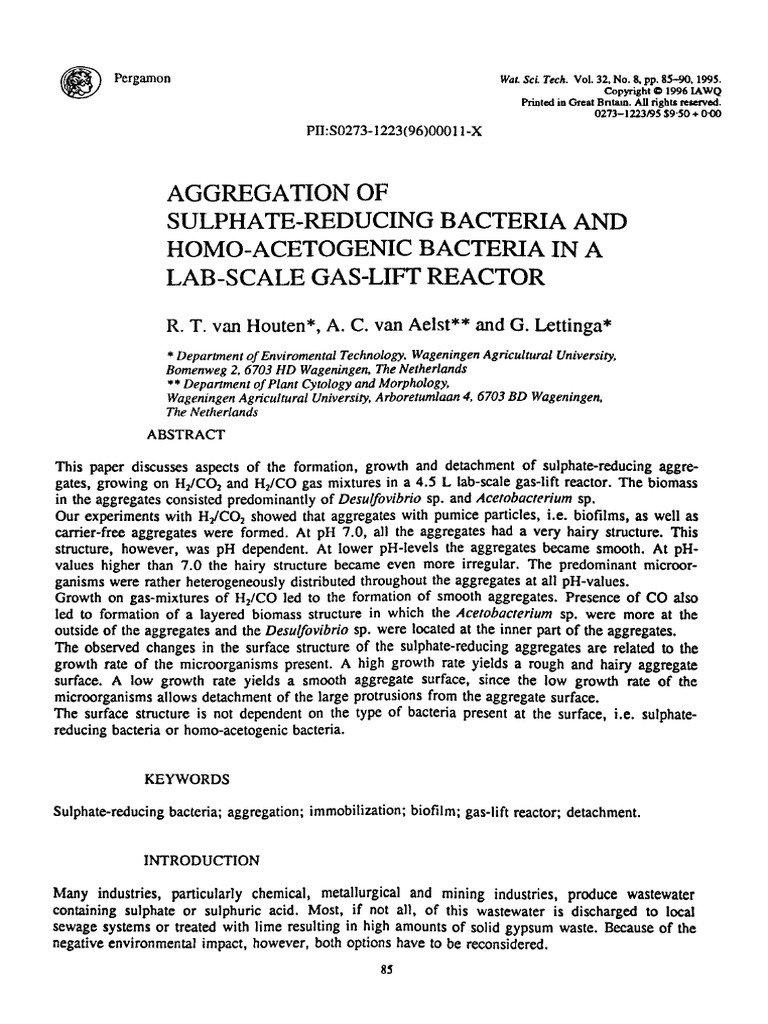Aggregation of Sulphate-Reducing Bacteria and Homo-Acetogenic Bacteria in A Lab-Scale Gas-Lift ...