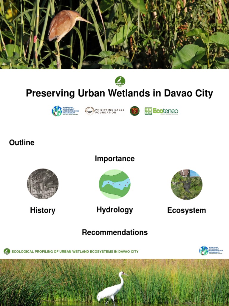 Urban Wetlands For Youth by EnP Lemuel Manalo | PDF