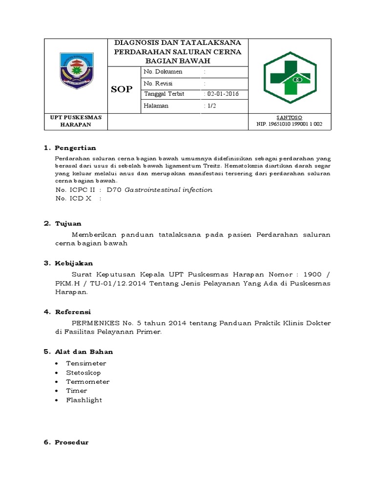 Diagnosis Dan Tatalaksana Perdarahan Sal Cerna Bag Bawah | PDF