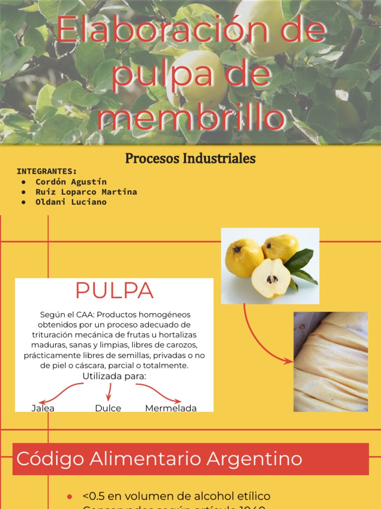 Elaboración de Pulpa de Membrillo | PDF