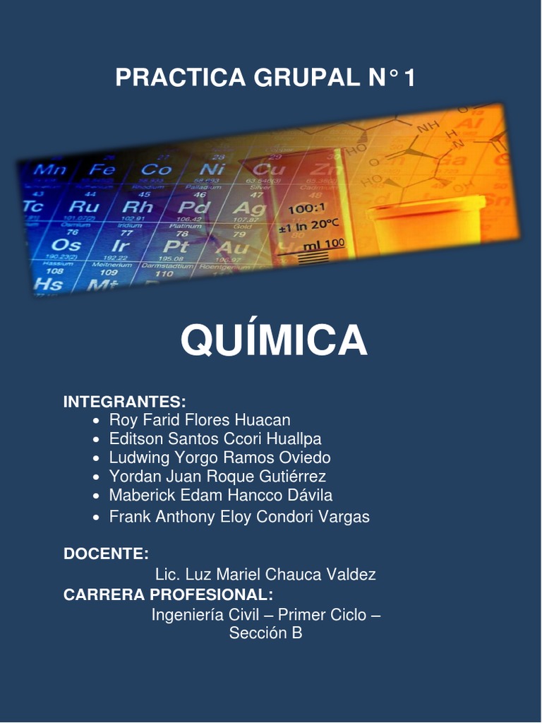 PRACTICA GRUPAL N1 | PDF