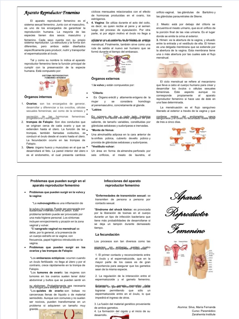 Dokumen - Tips - Aparato Reproductor Femenino Triptico | PDF | Sistema reproductivo | Vagina
