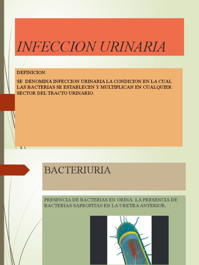 Infeccion Urinaria | PDF | Infección del tracto urinario | Medicina